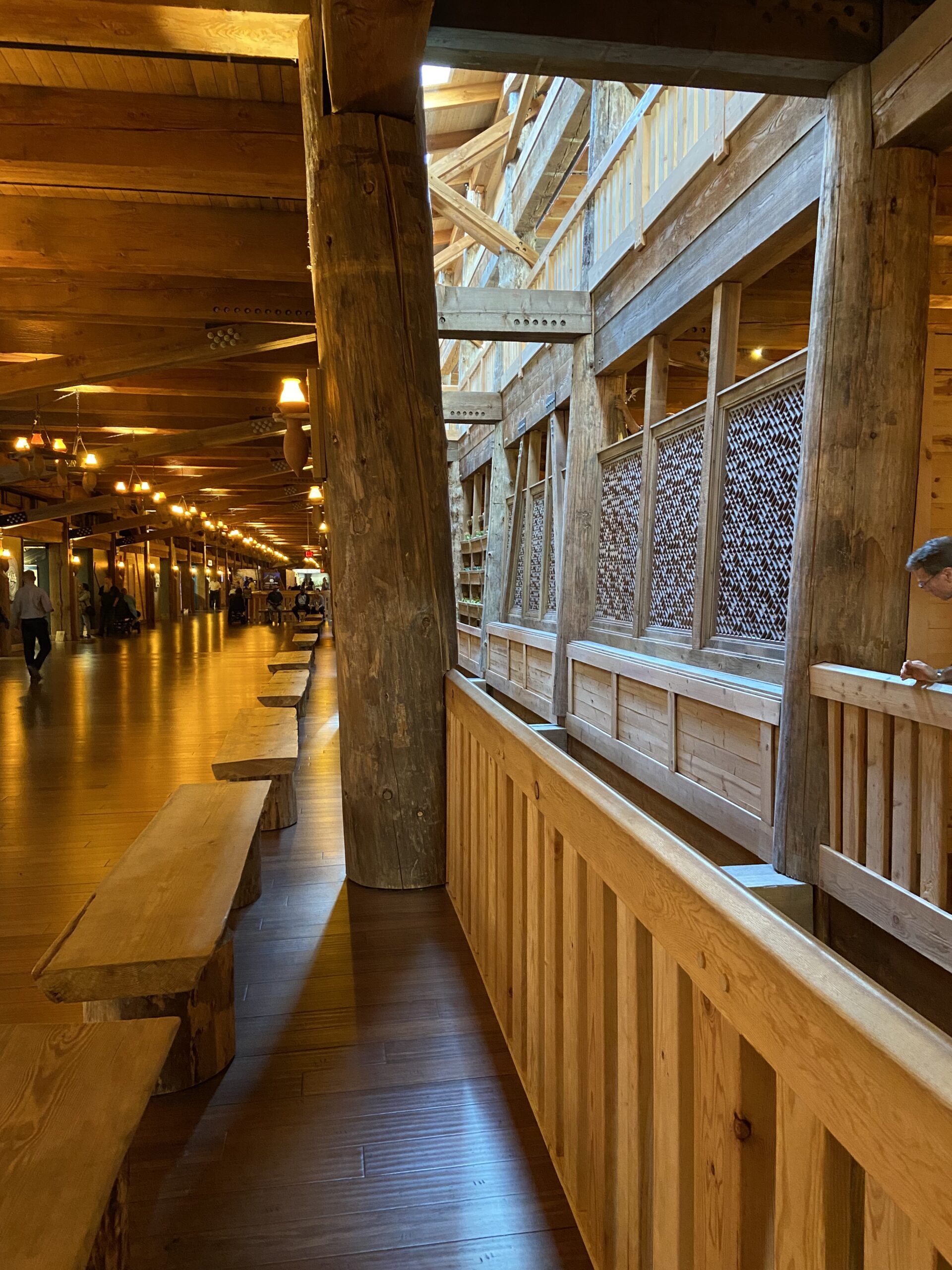 The Ark Encounter and Creation Museum (Should You Visit?)