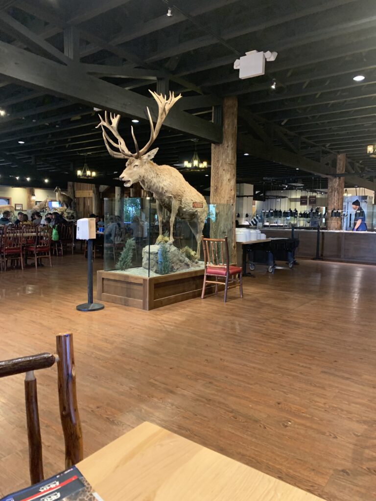 The Ark Encounter and Creation Museum (Should You Visit?) - Travel and ...